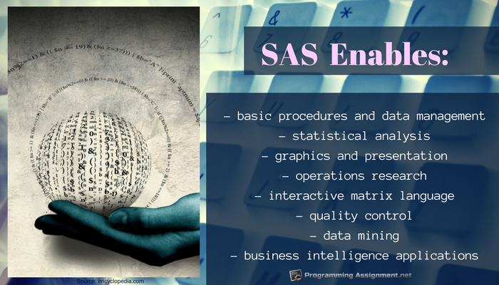 Good Sas Programming Help Online
